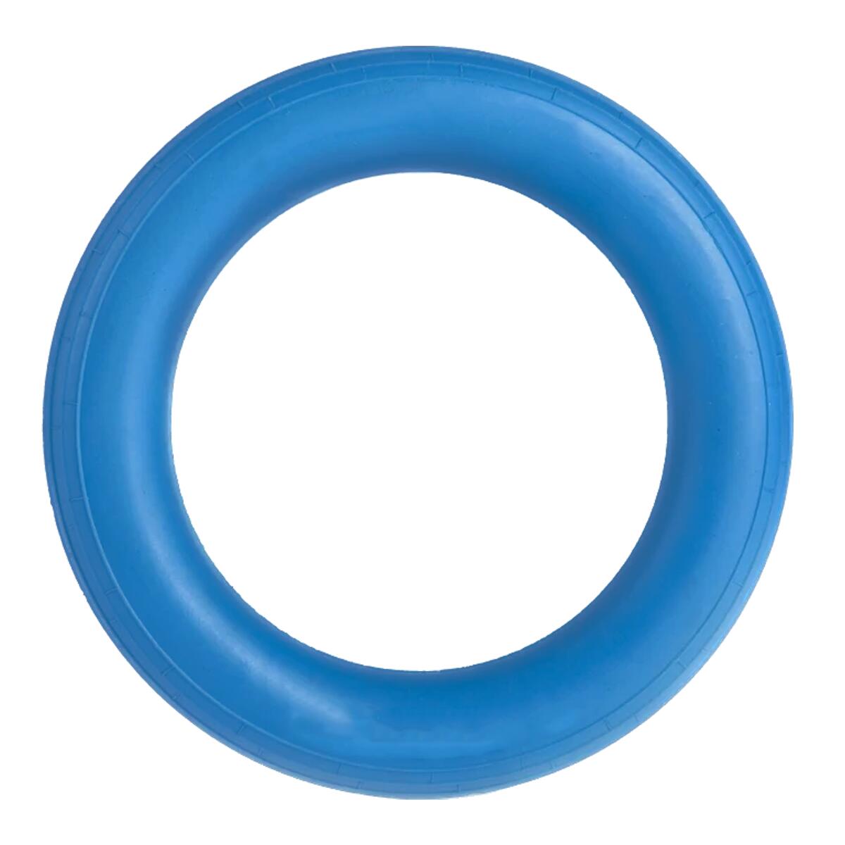 Blue Sports Ringette Practice Ring | Source for Sports